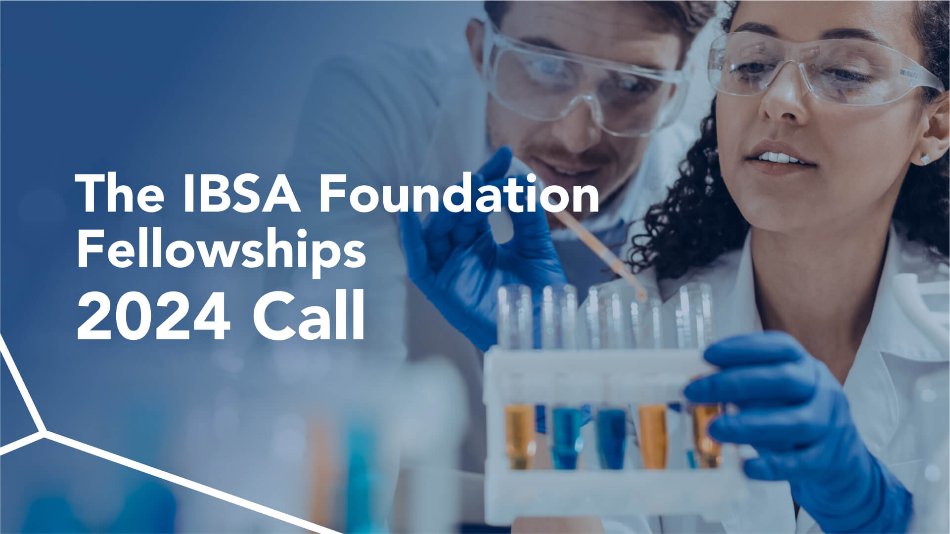 IBSA Foundation - Fellowships 2024 Call